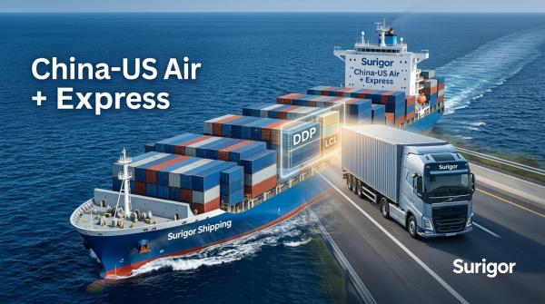 Quality OA 16 Day Economy LCL Trucking DDP Sea Freight China to LA Door Delivery for sale