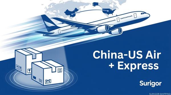 Quality Tampa FCL DDP Full Container Load Shipping China to USA Door Delivery Service for sale