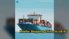Reefer Shipping China USA Europe DDP