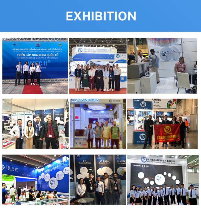 Participación en exposiciones