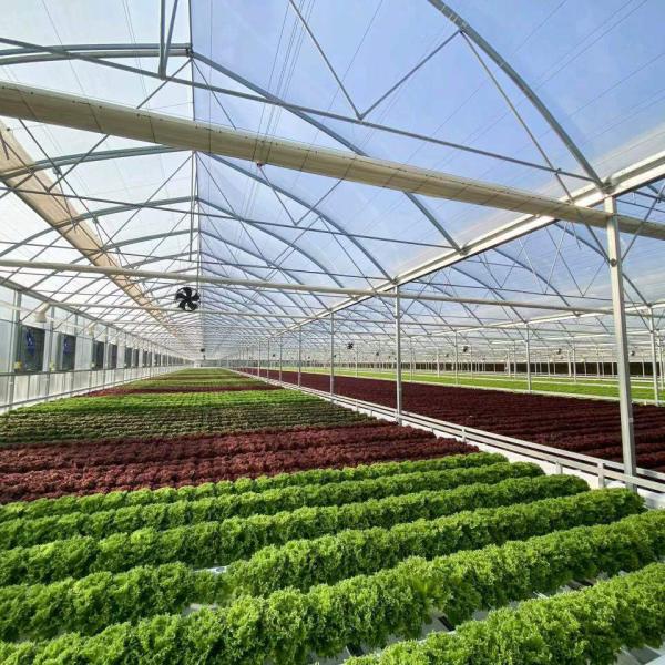 Sistema de cultivo de Nft de alta densidad plano Técnica de película nutritiva Sistema hidropónico