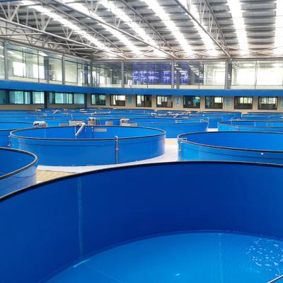 China Temperature Controllable High Density Recirculated Aquaculture System RAS Farming System for sale