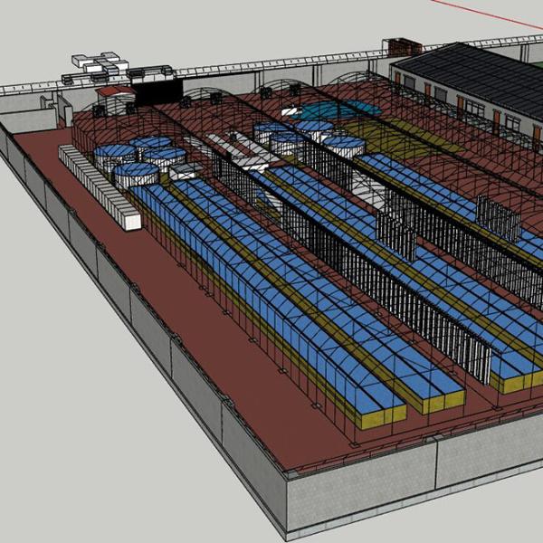 Commercieel vishydroponicsysteem aquaponics kasset voor visgroenten