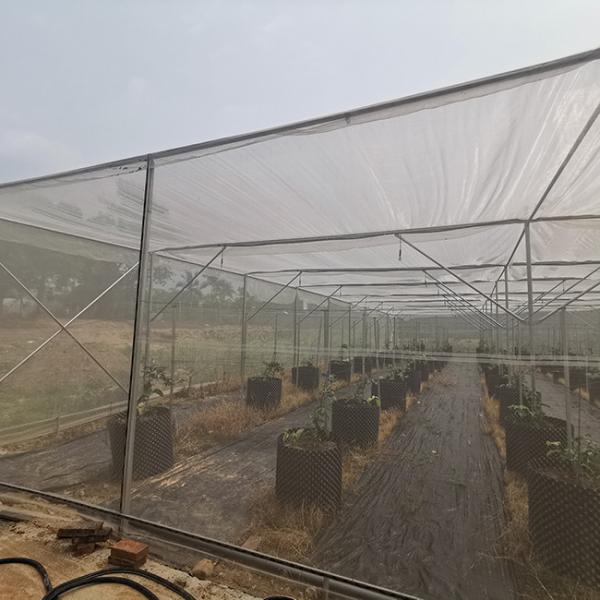 Quality Agricultural Insect Net House Lightweight Regulating The Microclimate for sale