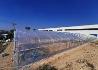 China Vegetable Growing Single Span Greenhouse With Insect Screen Covering Material for sale