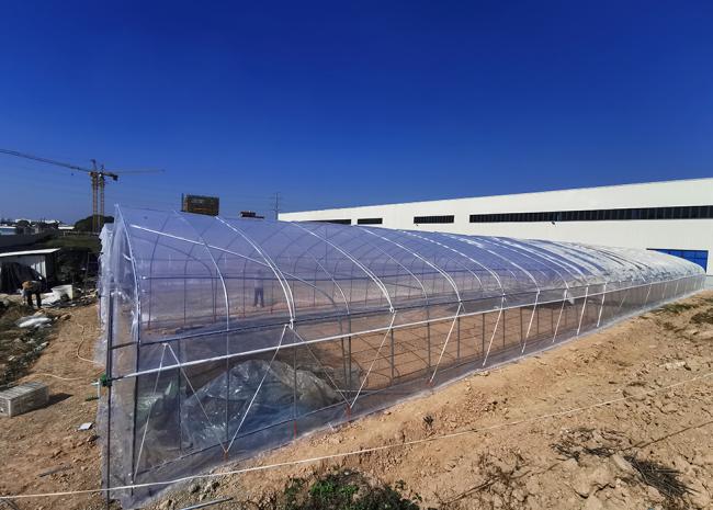 Affordable One Span Side Ventilated High Tunnel Greenhouse For Vegetables Cultivation