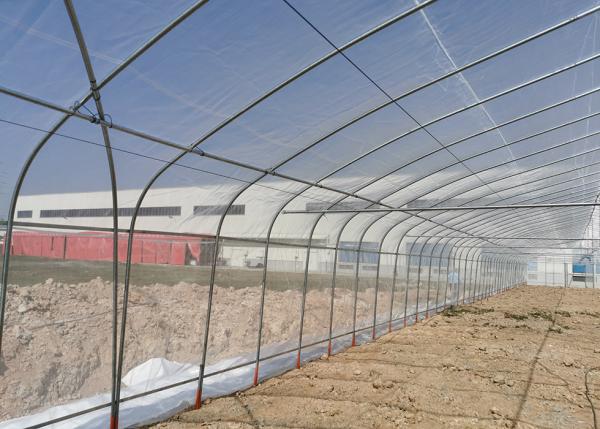 Quality Advanced Clear Anti Drip Steel Frame Greenhouse Poly Tunnels For Gardens for sale