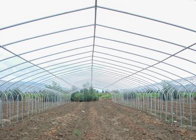 Cina Serra in plastica da 10 m di larghezza per esterno, altezza del tetto 3-6 metri in vendita