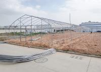 China Vegetable Growing Single Span Greenhouse With Insect Screen Covering Material for sale
