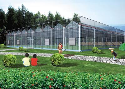 Китай Устойчивая конструкция, регулируемая климатическая ситуация ВЕНЛО Стеклянные теплицы для выращивания клубники и цветов продается