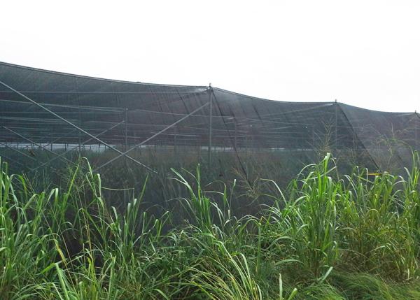 Quality Quick Installtion Shade Net House For Relaxing Plant Seedling for sale