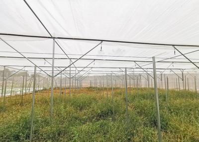 China HDPE 防虫耐天候温室 2-5 メートル 高さ 自然災害を軽減する for sale