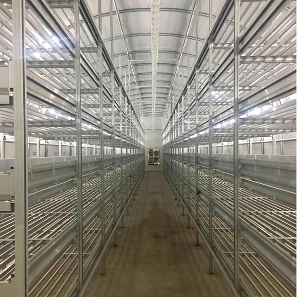 Quality Durable Outdoor Mushroom Greenhouse Customized Length For Efficient Space for sale
