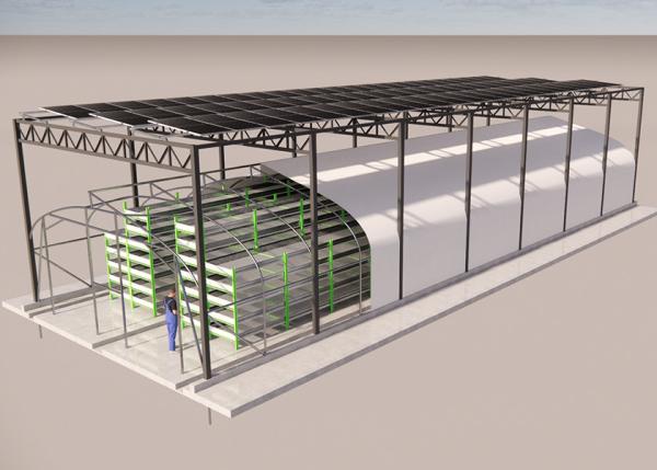 Quality Solar Powered Black Film Greenhouse Mushroom Farming Strong Plastic Greenhouse for sale