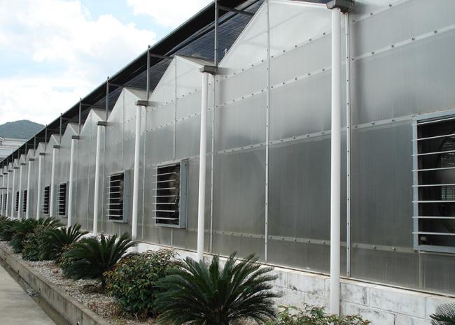 Polycarbonate panel greenhouse exterior view