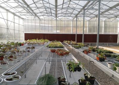 Китай Высокая прозрачность и долговечный ПК материал, просторная внутренняя ПК теплица - идеально подходит для выращивания растений круглый год продается