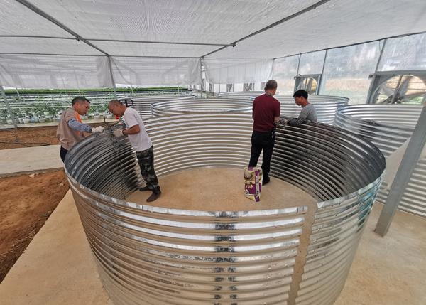 Sistema de acuicultura industrial de recirculación en interiores 7 kg/m3 Densidad de camarones 30% más rápido crecimiento