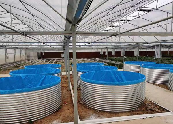 Sistema de acuicultura industrial de recirculación en interiores 7 kg/m3 Densidad de camarones 30% más rápido crecimiento