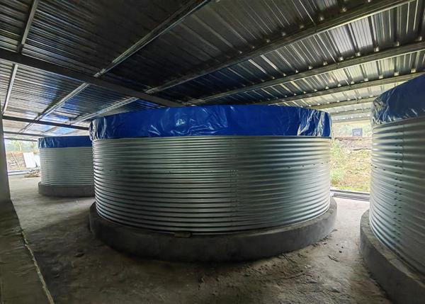 Sistema de acuicultura industrial de recirculación en interiores 7 kg/m3 Densidad de camarones 30% más rápido crecimiento