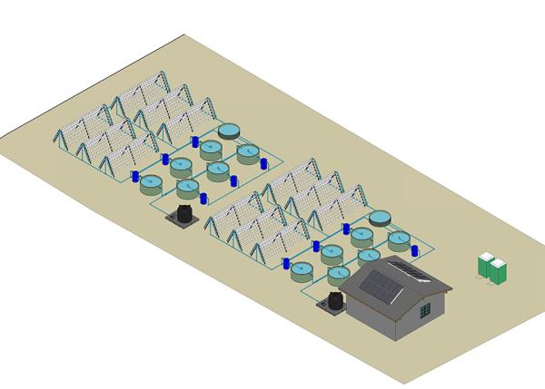 Commercieel vishydroponicsysteem aquaponics kasset voor visgroenten