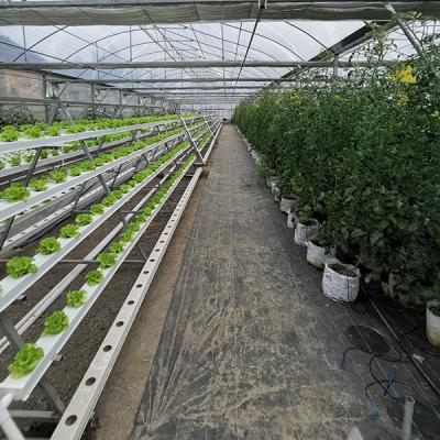 China Geautomatiseerd compleet aquaponisch systeem voor de visproductie Te koop