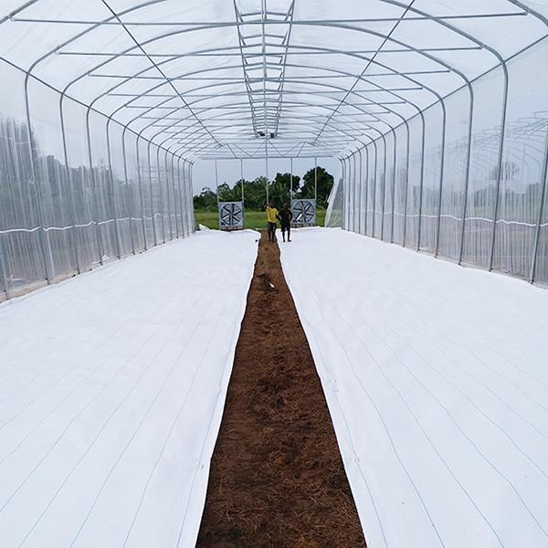 Quality Natural Cooling Plastic Green House Made By Galvanized Pipes No Welding Design for sale