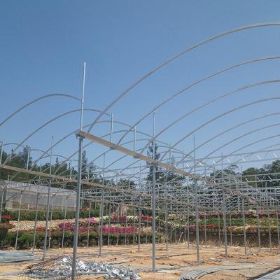 Cina Fiore industriale serra commerciale in alto tunnel con finestre fisse sul tetto in vendita