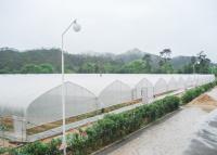China Manual Multi Span Greenhouse 3.5-4.5 Meter Roof Height For Planting for sale