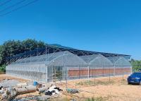 China Multi Span Greenhouse Durable Polyethylene Structure With Manual Or Motorized Roll Up Ventilation System for sale