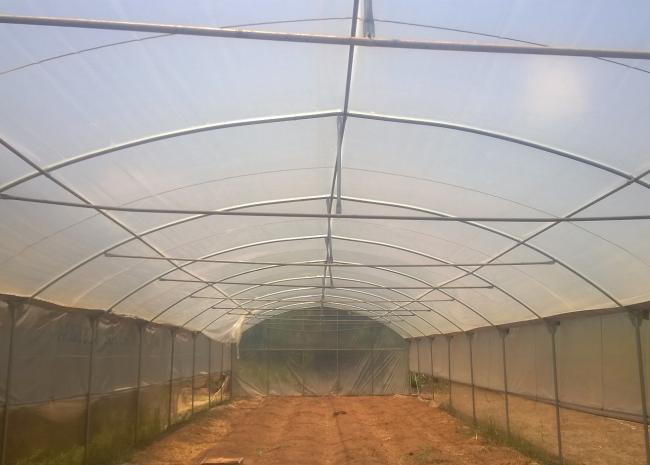 Greenhouse with rainwater drainage system