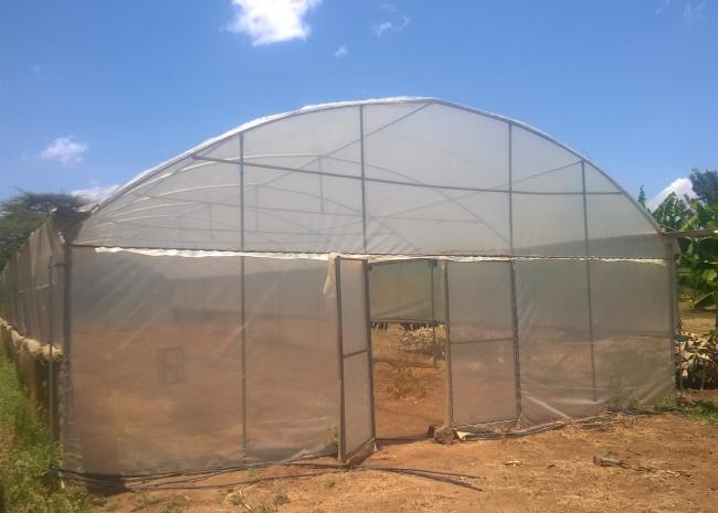 Interior view of greenhouse showing growing space