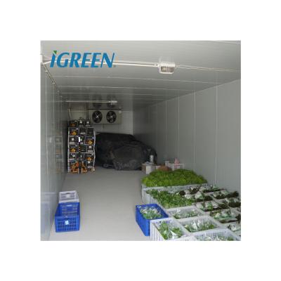 China Cold Storage Room Walk-in Freezer Refrigerator Blast Cold Room for Hydroponics Vegetable Flower 2-300 Cubic Meters 400-45000W for sale