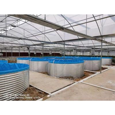 China IGreen Commercial Complete Recirculating Aquaculture System Set for Indoor Fish Farm Breeding for sale