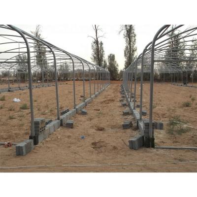 China IGreen Vegetable Planting High Quality Agriculture Greenhouse With Hydroponic Systems for sale