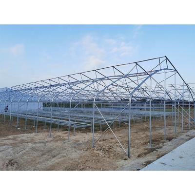 China IGreen Strong Agricultural Frame Greenhouse Customized Length for sale