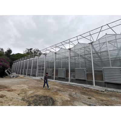 China IGreen Commercial Polycarbonate Greenhouse Greenhouse Polycarbonate Frame for sale