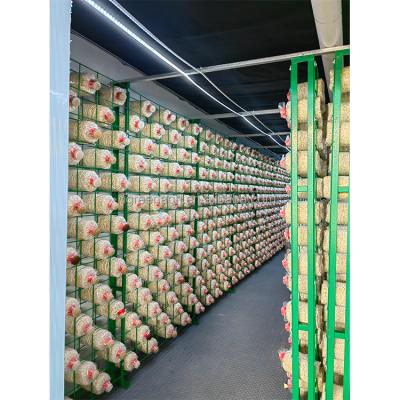 China Mushroom Growing Equipment Portable Houses for Mushroom Cultivation Mushroom Grow House for sale