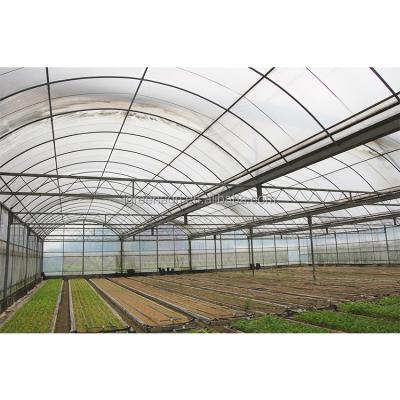 China IGREEN Large Multi-Span Plastic Greenhouse For Plants Green House Greenhouse Roofing Material for sale