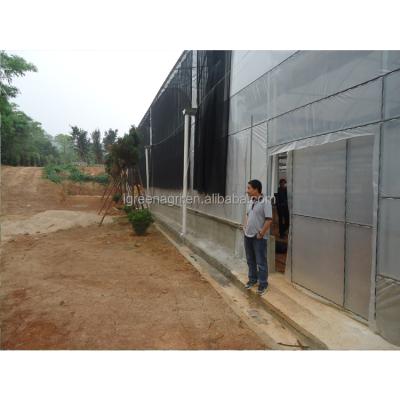 China IGreen Serre Agricole Multi-Span Agricultural Greenhouse Single Layer Small Size PE Material Hot Dip Galvanized Steel Frame for sale