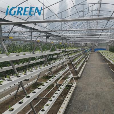 China IGreen Multi-Span Agricultural Greenhouse with PE Film Cover Single Layer Customizable Size for sale