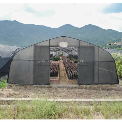 China Polytunnel Small Single-Span Agricultural Greenhouse with PE Plastic Film Cover for Mushroom Growing Stable for sale