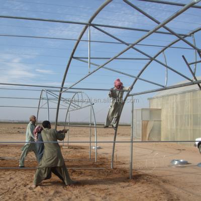 China Polycarbonate Sheet Single-Span PE Greenhouse 60mm Galvanized Pipe Cooling Fan Drip Irrigation for Saudi High Temperature for sale
