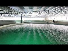 Smart Fish Farm System High Density Indoor RAS(recirculating aquaculture system)