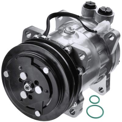 China AC Compressor with Clutch & Pulley for Sterling Truck Acterra 5500 Ford 01-04 for sale