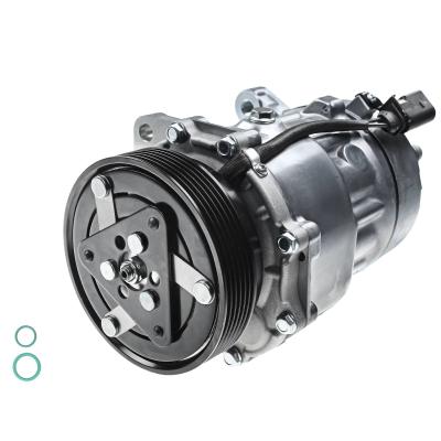 China AC Compressor with Clutch & Pulley for Audi A3 TT Volkswagen Beetle Golf Jetta for sale