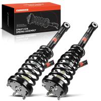China 2x Front Complete Strut & Coil Spring Assembly for Ford Thunderbird 2002-2005 for sale
