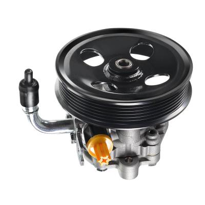 China Power Steering Pump with Pulley for Hyundai Sonata 2.4L 2006-2010 for sale