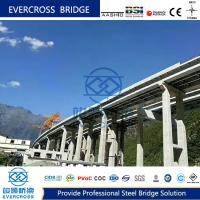 Quality Customized Steel Box Girder Bridge Aisc Steel Bridge With High Stiffness for sale