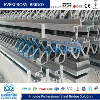 China Single Modular Expansion Joint for Bridges - Custom Lengths 50-300mm Movement Capacity - Steel Construction for sale