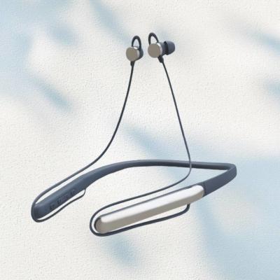 China Neck Hanging Bluetooth Hearing Aids With 80 Hours Long Battery Life And Noise Cancelling for sale